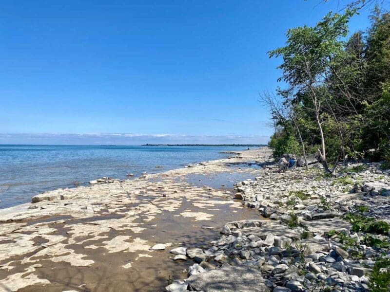 Best Collingwood Beaches